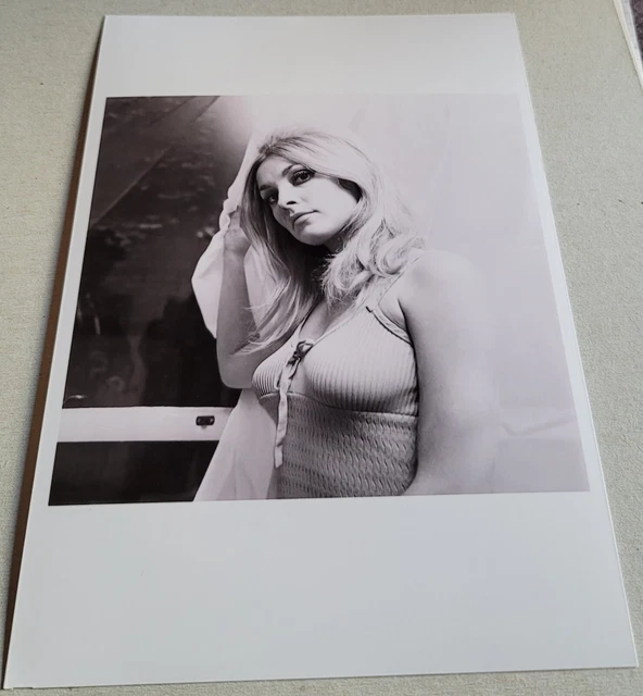 SCHAUSPIELERIN SHARON TATE Film-Star-Foto im Format ca. 13 x 19 cm #6947 EUR 4,90 - PicClick DE