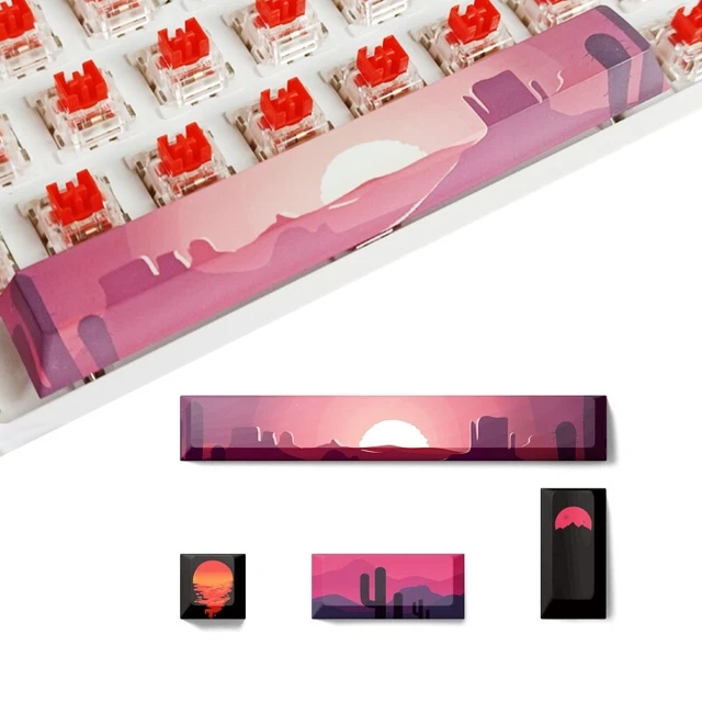 4 KEYS CHERRY Profile Keycaps PBT Dye Subbed Keycaps SPACE ESC ENTER ...
