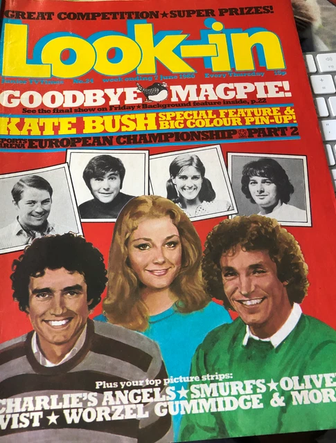 LOOK IN MAGAZINE Issue 24, GoodBye Magpie. Rare! £20.00 - PicClick UK