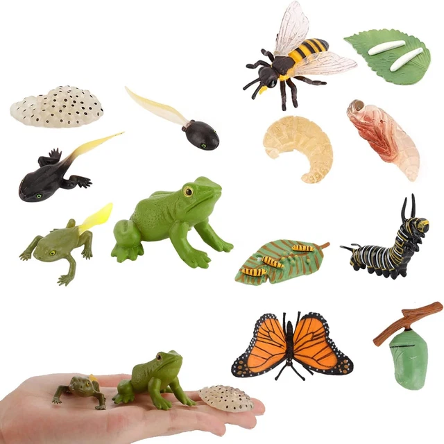 13PCS INSECT TOYS Life Cycle of Butterfly, Honey Bee & Frog Action £21. ...
