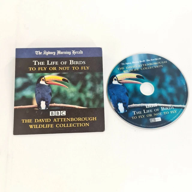 THE LIFE OF Birds: To Fly or Not to Fly BBC David Attenborough SMH ...