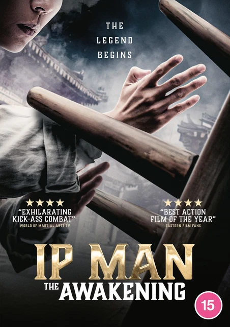 IP MAN: THE Awakening (DVD) Zhao Yu Xuan Chen Guan-Ying Miu Tse Hao Yan Fei EUR 16,61 - PicClick IT