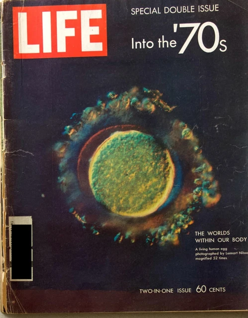 LIFE MAGAZINE - Into the '70s Special Double Issue £3.92 - PicClick UK