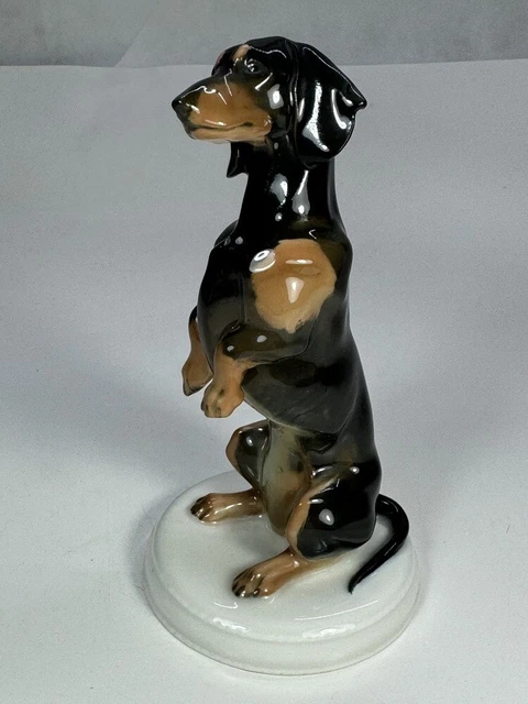 ROSENTHAL PORZELLANFIGUR DACKEL HUND ENTWURF FRITZ DILLER K275 1. Wahl ...