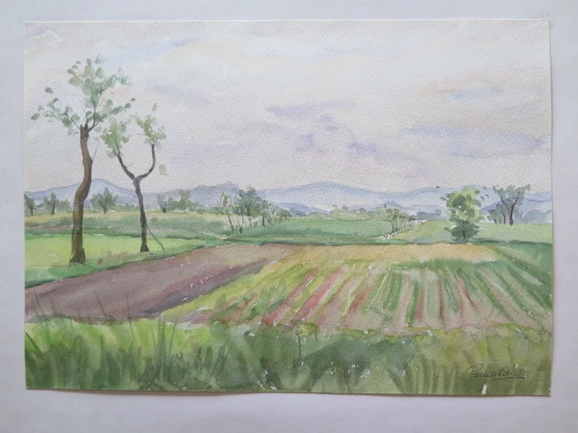 TABLEAU PEINTURE AQUARELLE Paysage Signé Emilia Romagna Vintage 31x22 CM P14 EUR 44,84 - PicClick FR