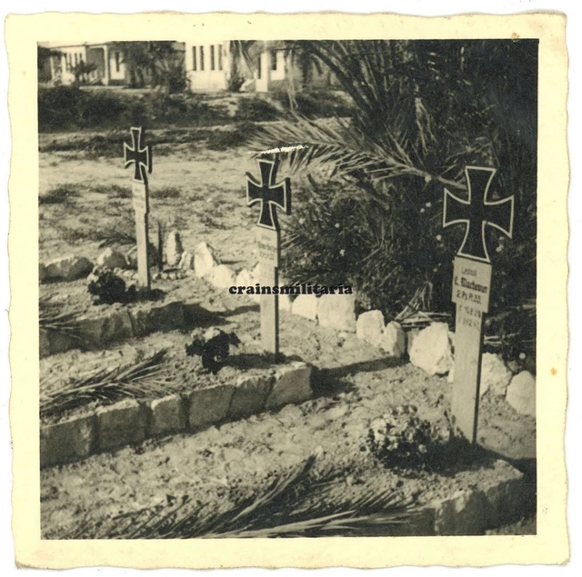 ORIG. FOTO GRAB 15.PD DAK Offizier Pz.Pi.Btl.33 in Friedhof Mareth ...