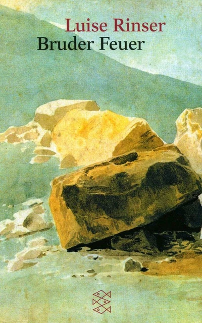 BRUDER FEUER - Luise Rinser - 9783596221240 EUR 9,99 - PicClick DE