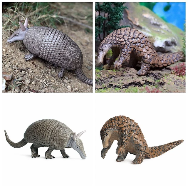 PANGOLIN MODEL SIMULATION Wild Animal Zoo Scenes Manis Pentadactyla ...