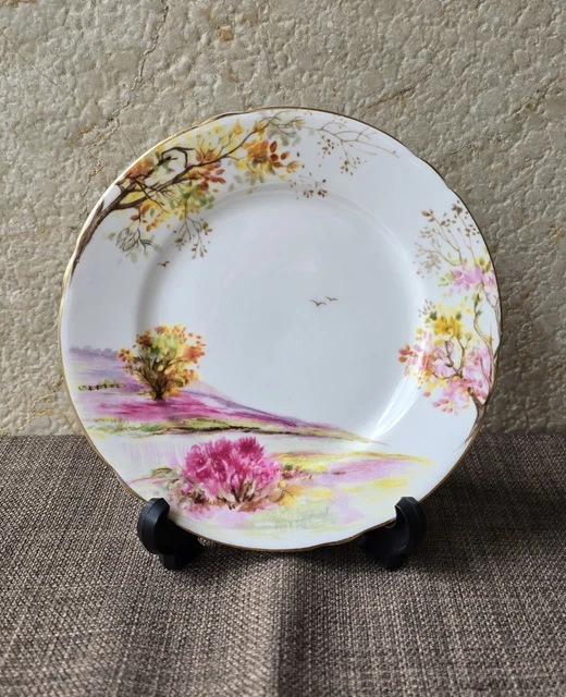 VINTAGE SHELLEY OLD Ireland 13657 Fine Bone China Side Plate Early ...