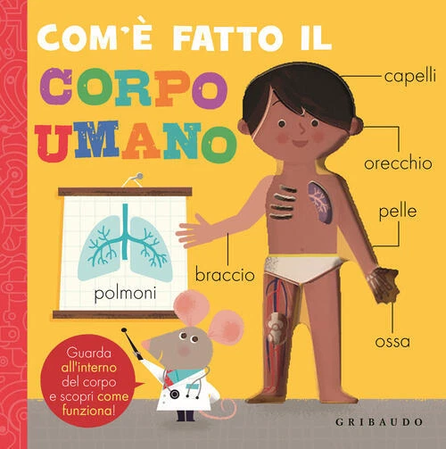 COM'E FATTO IL Corpo Umano Gribaudo 2024 EUR 10,90 - PicClick IT
