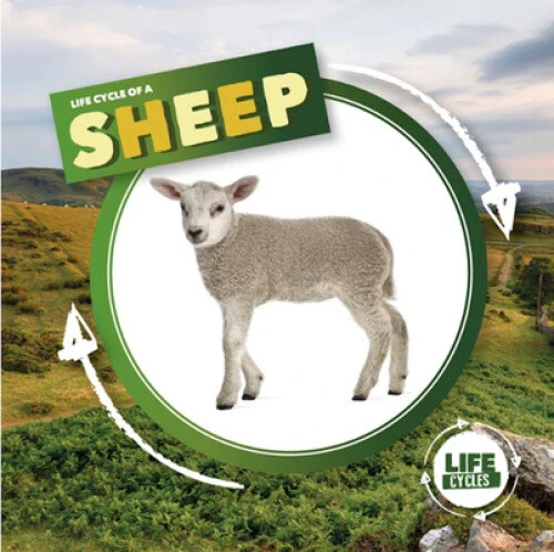 LIFE CYCLE OF a Sheep (Life Cycle of A...) by Kirsty Holmes EUR 14,53 ...