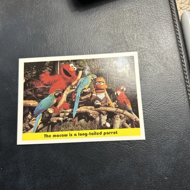 B22S SESAME STREET 1992 Ctw #48 Elmo And Grover Visit A Tide Pool £5.24 ...