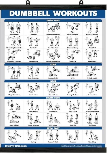 DUMBBELL WORKOUT EXERCISE Poster - Free Weight Body With Plastic Frame ...