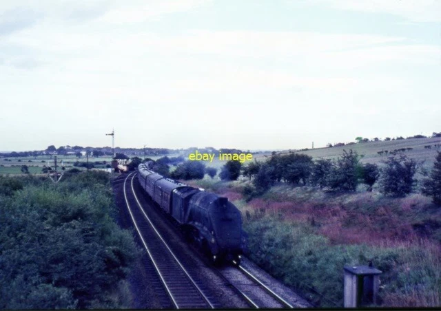 PHOTO LNER Class A4 Loco In 1964 EUR 4,01 - PicClick IT