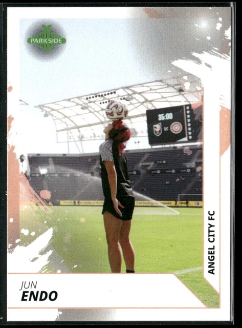 JUN ENDO 2024 Parkside Nuovo Volume 1 Sp Variazione Foto/100 #Sp-179 ...