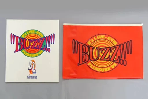 B’Z LIVE CONCERT Pamphlet 1995 Tour with Vinyl Case Used £56.95 ...