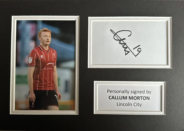 CARTA BIANCA FIRMATA Callum Morton In Display A4 Lincoln City Mount EUR ...