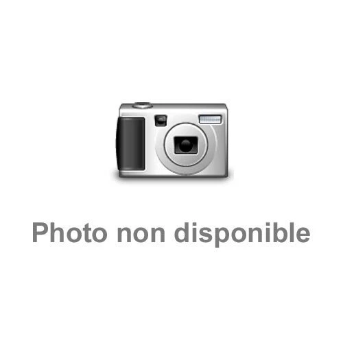 LES INTRAPRENEURS DE Robert A Burgelman et Leonard R Sayles EUR 18,62 ...