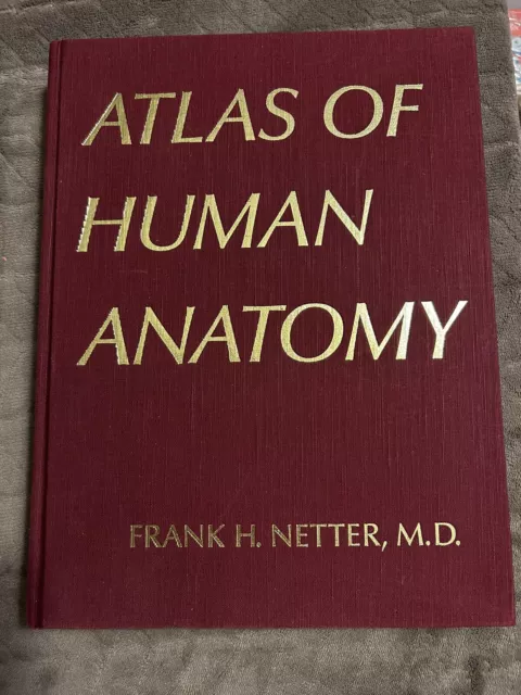 Frank Netter Anatomy Atlas Atlas Human Anatomy Netter - vrogue.co Frank Netter Anatomy Atlas Atlas Human Anatomy Netter - vrogue.co