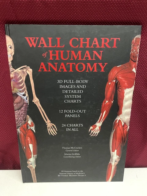 24” WALL CHART of Human Anatomy 3D Body Fold Out Posters Charts Book ...