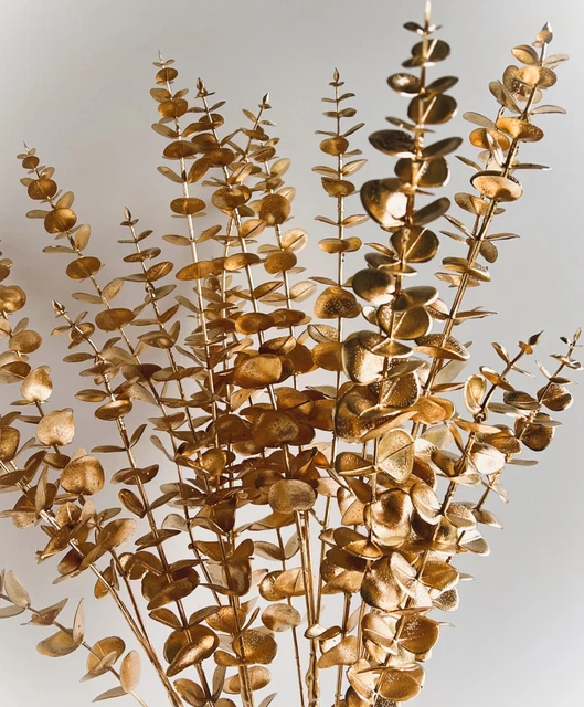 AUSTRALIAN NATIVE FLOWERS Gold Eucalyptus Gum Stem Artificial Diy ...