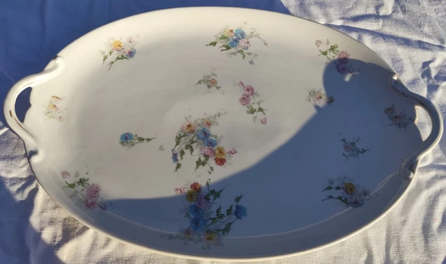 PLAT OVALE EN porcelaine de Limoges Goa France gout art nouveau décor ...