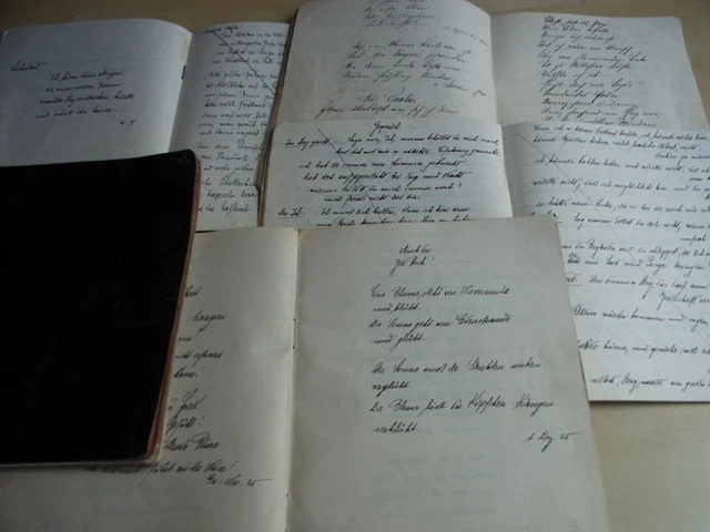 5 MANUSCRIPTS VIENNA 1925-29: Selbstverfasste Poems From Wilhelm Gross ...