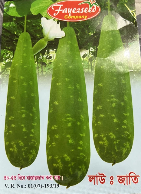10 BANGLADESHI BANGLA Lau Khodu Bottle Gourd Dhudi Hybrid vegetable ...