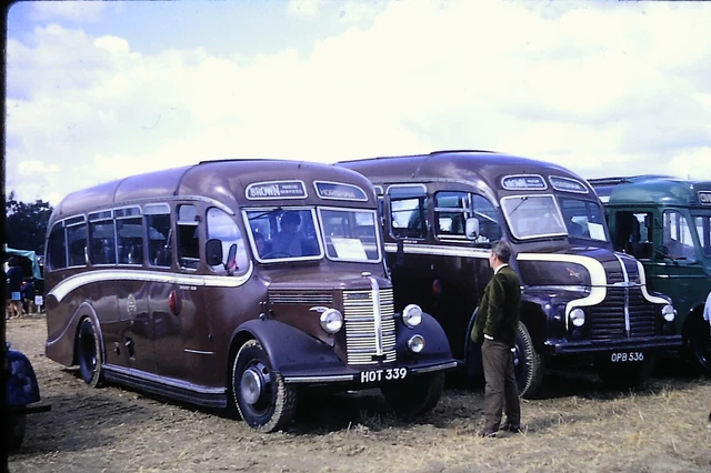 100 COLOUR BUS & Coach and trams/trolley buses slides. Set 3 EUR 17,59 ...