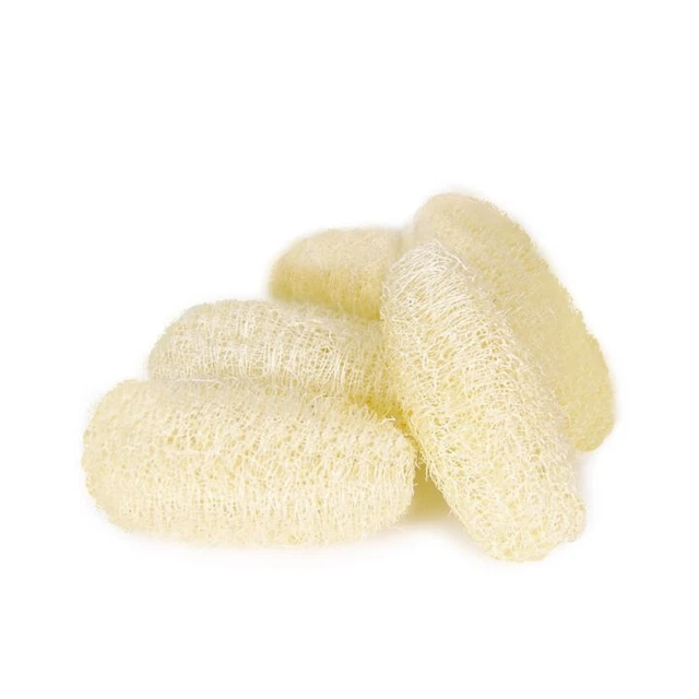 LUFFA STICKS, LUFFA body scrub, luffa bath, luffa body scrub, body ...