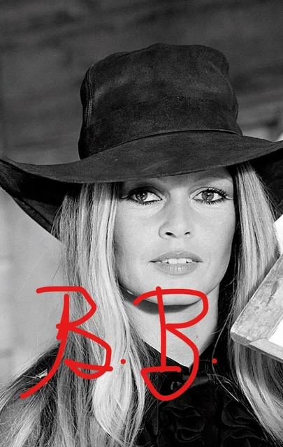 BRIGITTE BARDOT PIN Up PHOTO POSTCARD - NOV-24 £5.20 - PicClick UK