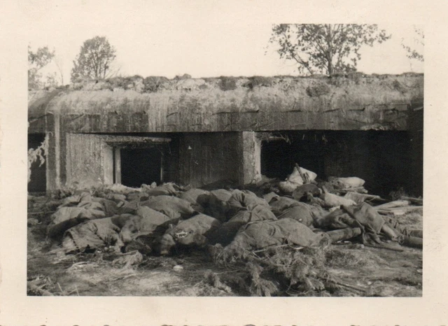 290. ID INF. Div. Kampf Kituriai Bunker Linie Litauen Ostfront MG ...