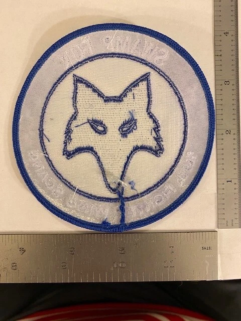 ORIGINAL/AUTHENTIC US AIR Force 169th Fighter Wing "SWAMP FOX" SCANG ...