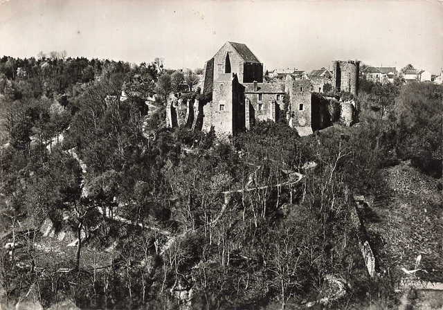 78 CHEVREUSE LES Ruines Du Château De La Madeleine EUR 5,90 - PicClick FR