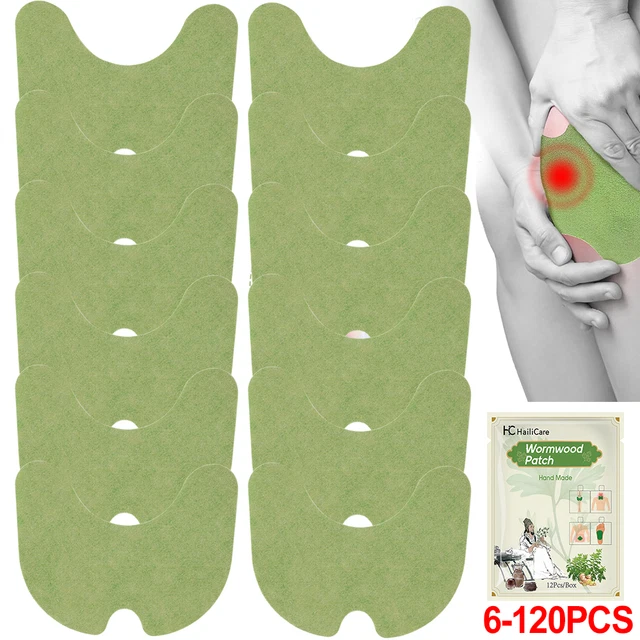 120X KNEE PAIN Relief Patches Wellnee Wormwood Sticker Neck Waist Joint ...