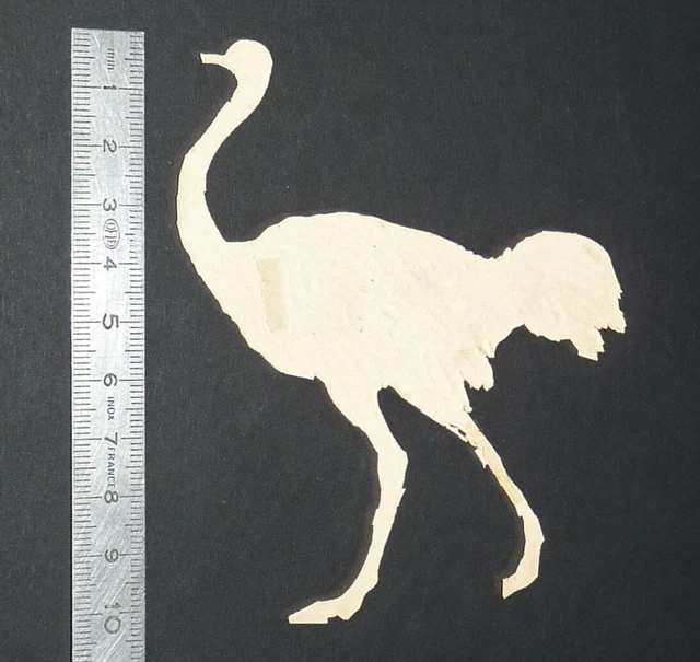 RARE CHROMO DECOUPIS 1870-1885 Victorian Die Cut Autruche Ostrich EUR ...