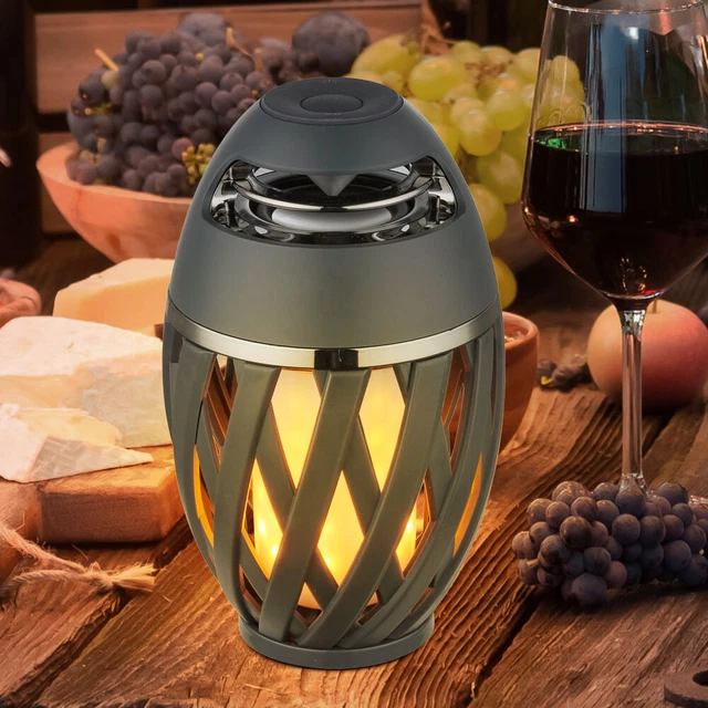 LED JARDIN TABLE Lampe Bluetooth Extérieur Haut-Parleur Effet Feu Lampe ...
