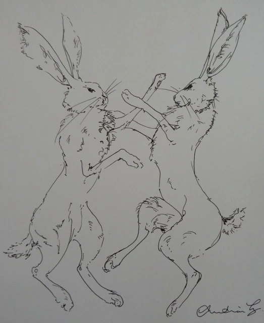 ORIGINAL BLACK PEN & ink line drawing of two boxing hares £29.99 ...