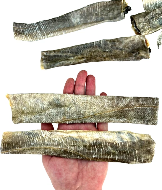 PREMIUM QUALITY WILD Icelandic Cod Skin Flatties 100% Organic Dog Treat ...