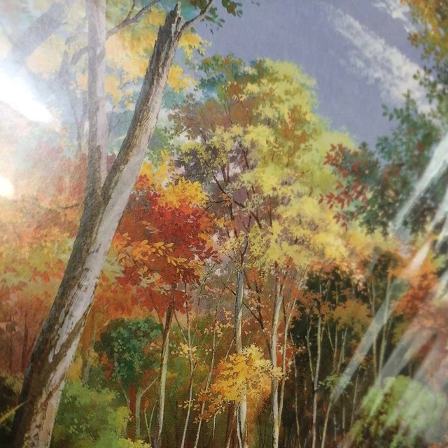 CARTOLINA STUDIO GHIBLI Heisei Raccoon Daikai Ponpoko Museo Mitaka no ...