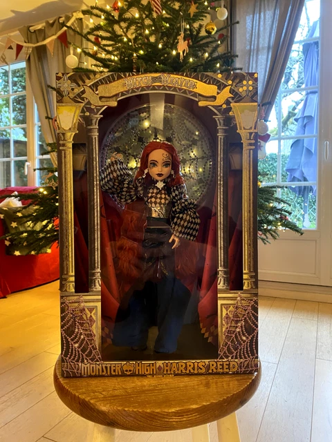 MATTEL 2024 MONSTER High Witch Weaver Harris Reed Exclusive Doll 🆕 EUR ...