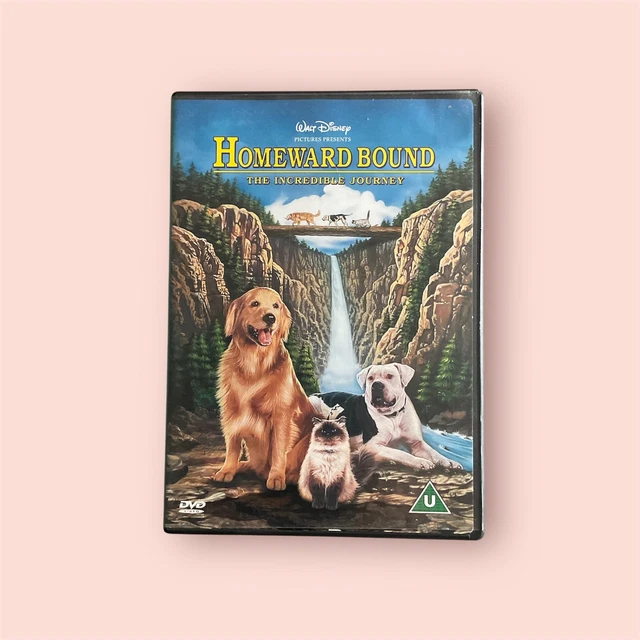 DISNEY HOMEWARD BOUND: The Incredible Journey (DVD, 1993) Animal ...