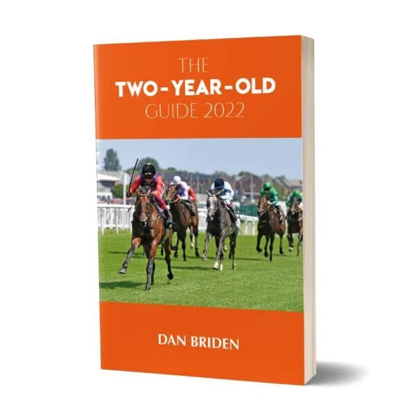 THE TWO-YEAR-OLD GUIDE 2022, Briden, Dan £3.59 - PicClick UK