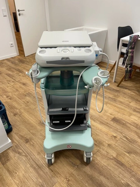 ESAOTE ULTRASCHALLGERÄT (MYLAB 5) mit Gerätewagen und Linearsonde EUR 1 ...