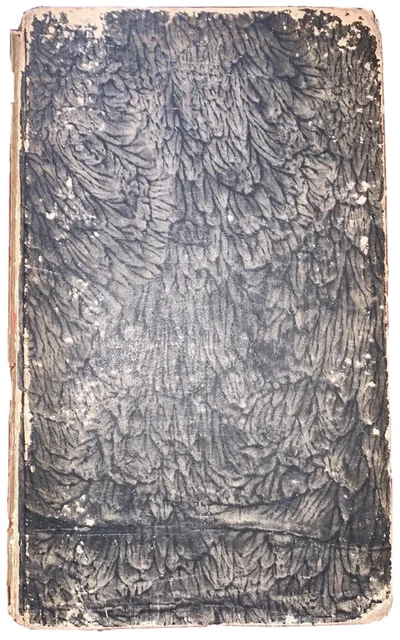 1820, DER UNTERSCHIED Zwischen Mensch Und Thier Im Gebaren, Stein ... 1820, DER UNTERSCHIED Zwischen Mensch Und Thier Im Gebaren, Stein ...