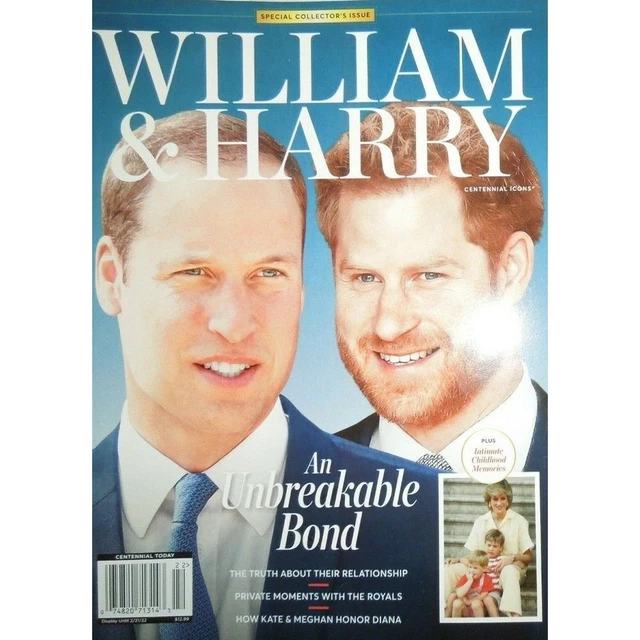 WILLIAM & HARRY truth about relationship UNBREAKABLE BOND private ...