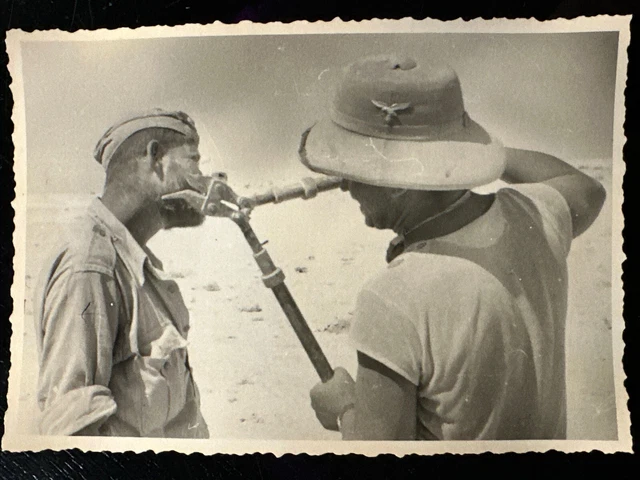 GERMAN PHOTO WW2 WWII ARCHIVE : AFRIKA KORPS - TUNIS 1943 EUR 11,99 ...