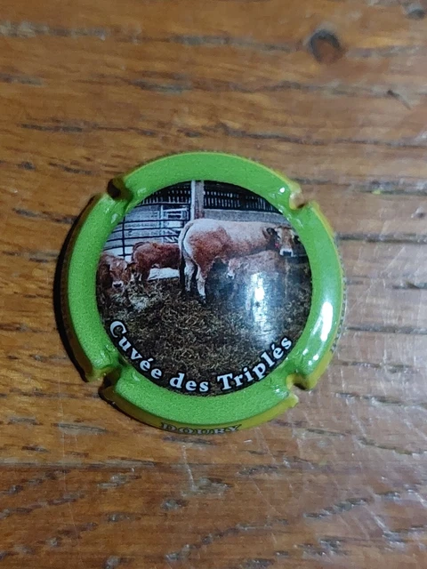 CAPSULE DE CHAMPAGNE Doury Philippe EUR 6,00 - PicClick FR