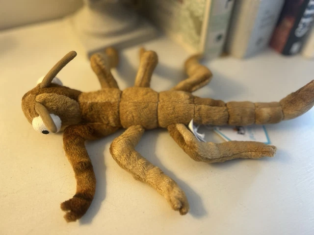 JELLYCAT ‘I AM Stanley Stick Insect’ - STAN3S - Brand New With Tags £36 ...