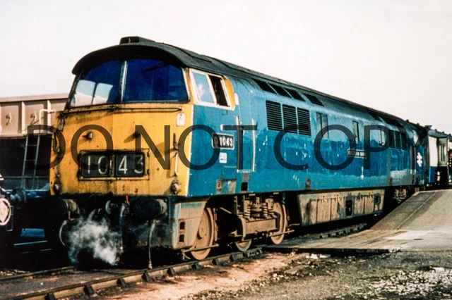 UK DIESEL TRAIN Railway Photograph Of Class 52 Western D1043. Rm52-121 £1.65 - PicClick UK